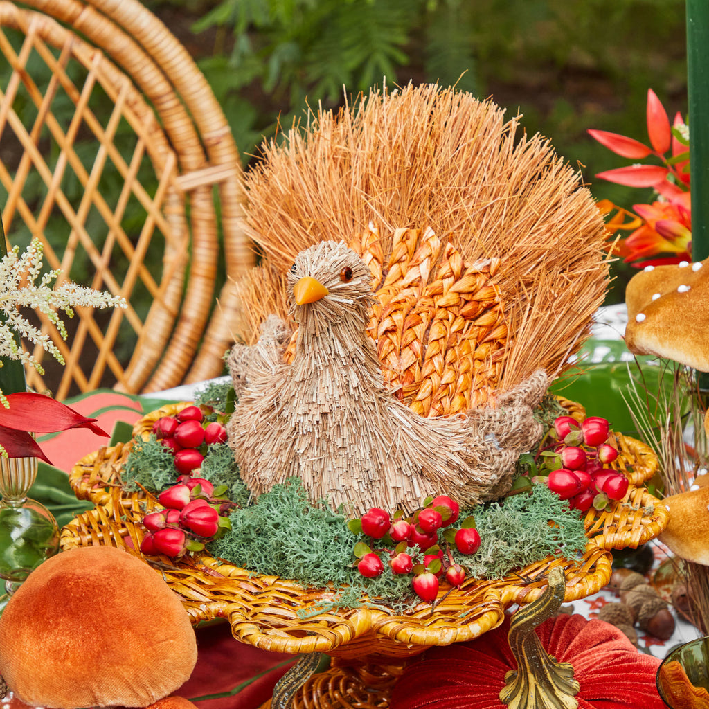 Decorative Raffia Turkey– Mrs. Alice