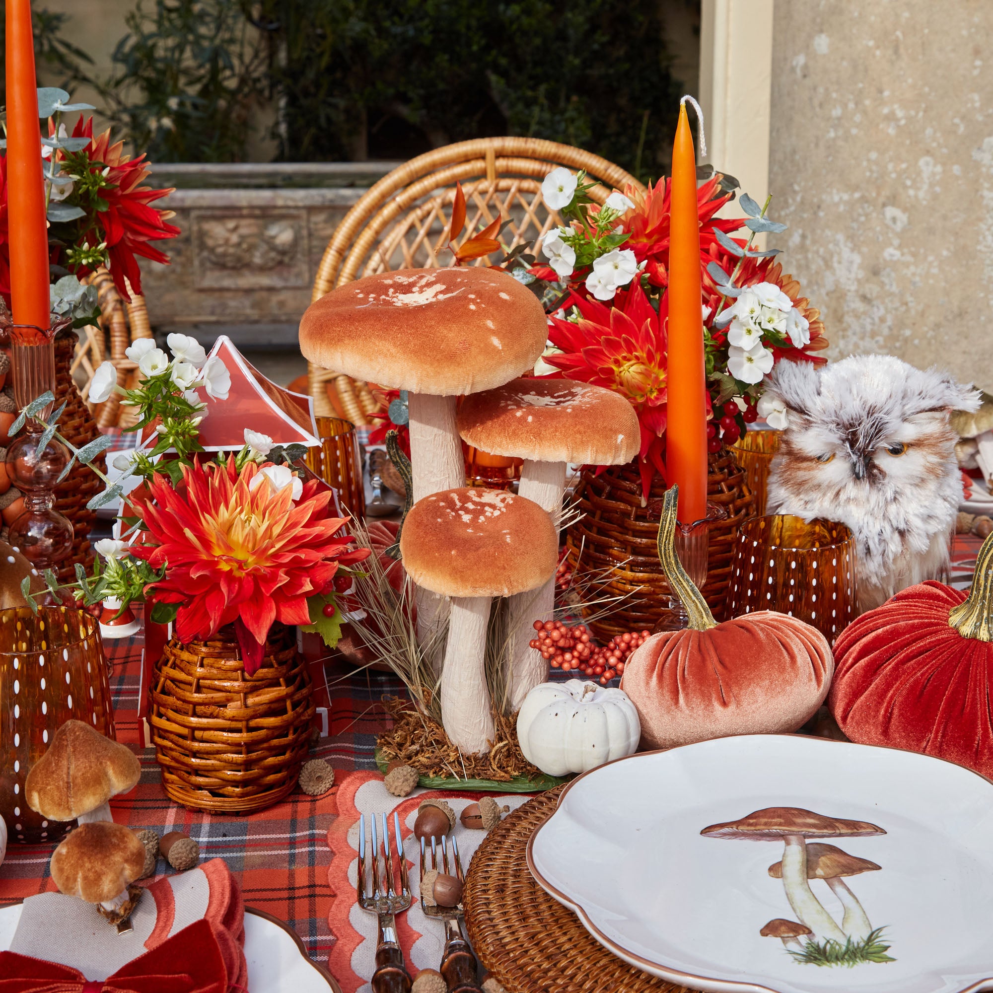 Tall Mixed Mushroom Set– Mrs. Alice