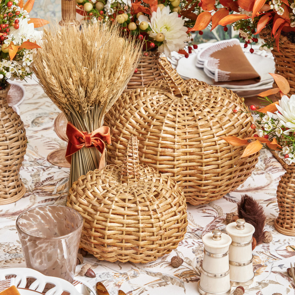 Rattan Pumpkin Family