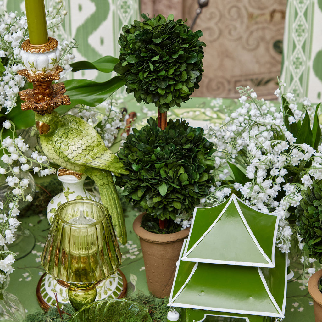 Double Potted Boxwood Balls (Pair)– Mrs. Alice