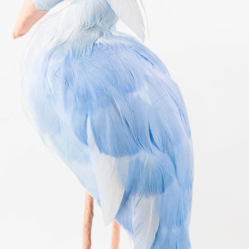Blue Saskia Stork Family– Mrs. Alice