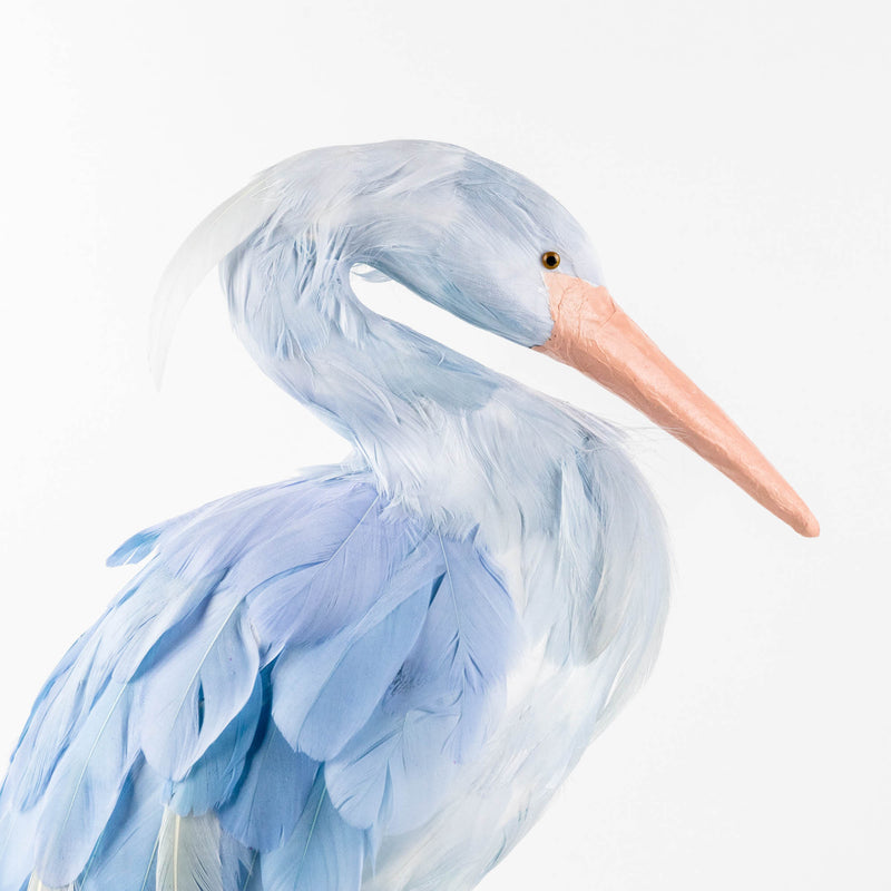 Blue Saskia Stork Family– Mrs. Alice