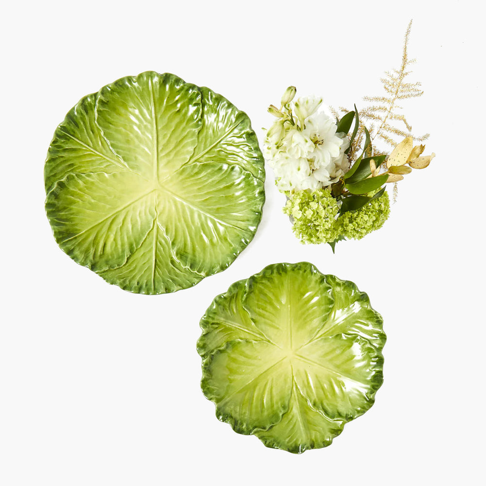 Cabbage Starter Plates by Mrs. Alice