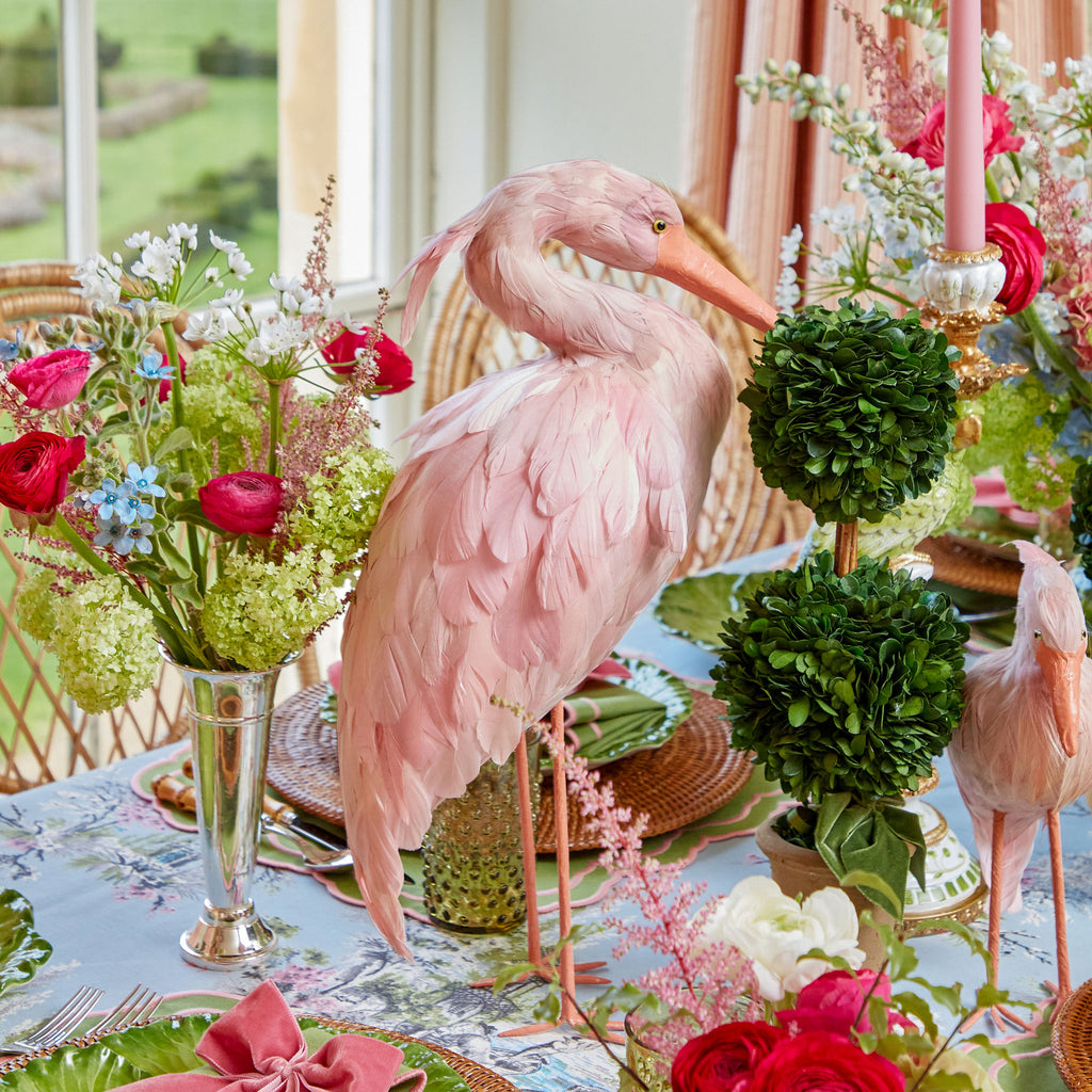 Saskia Stork Family– Mrs. Alice