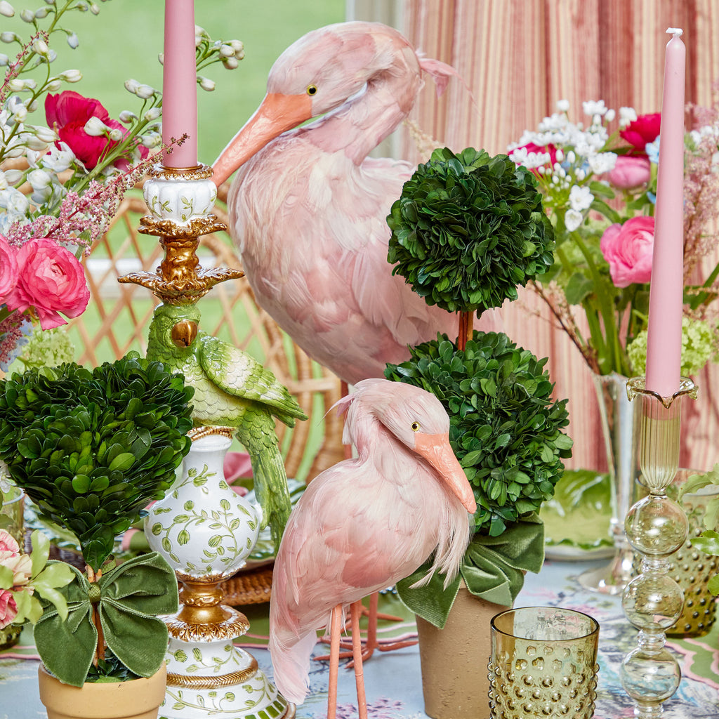 Saskia Stork Family– Mrs. Alice