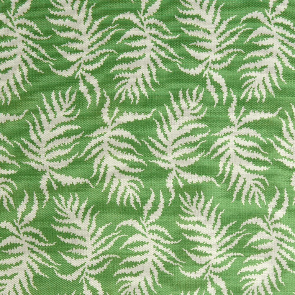 Green Trailing Ferns Fabric