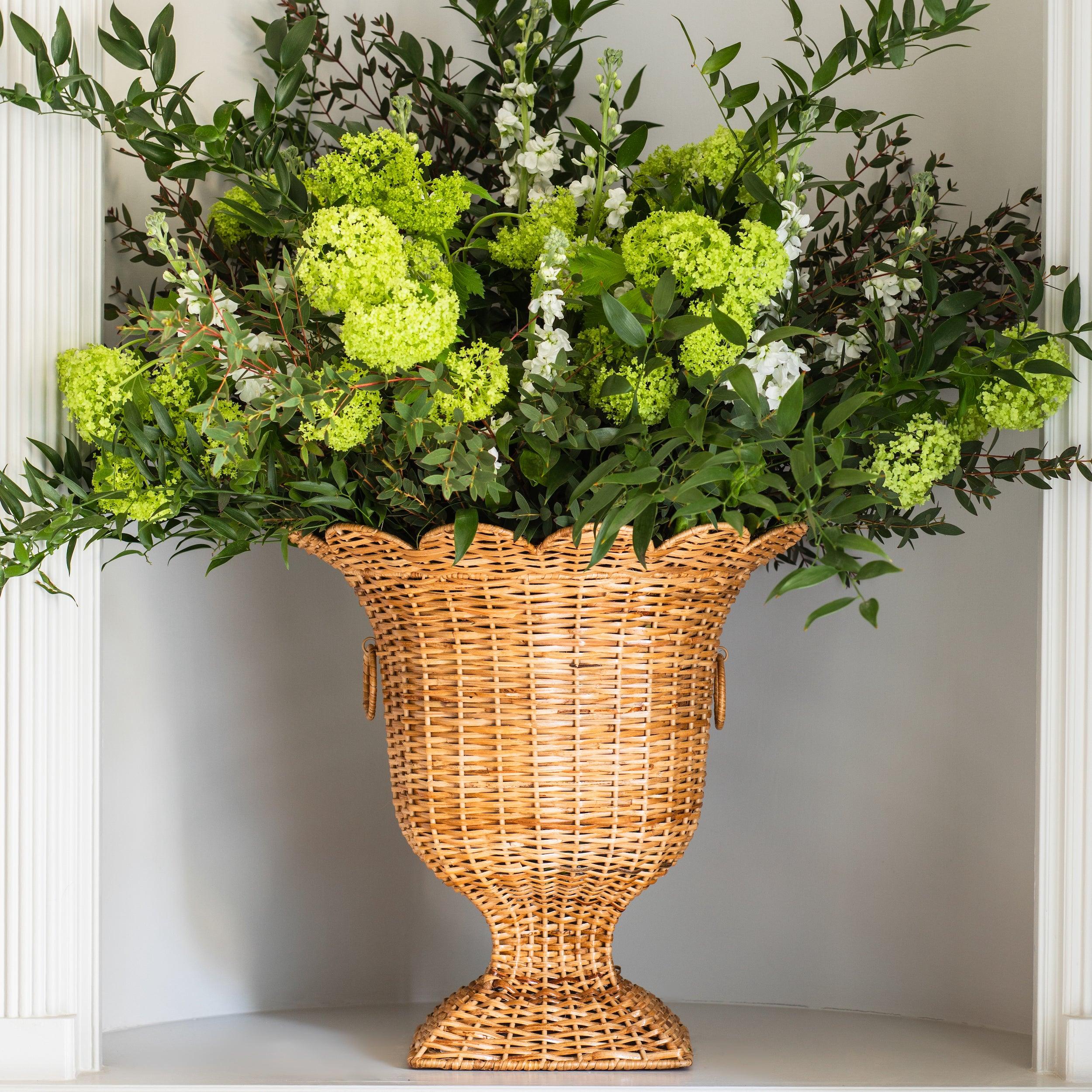Liliana Scalloped Rattan Urn – Mrs. Alice