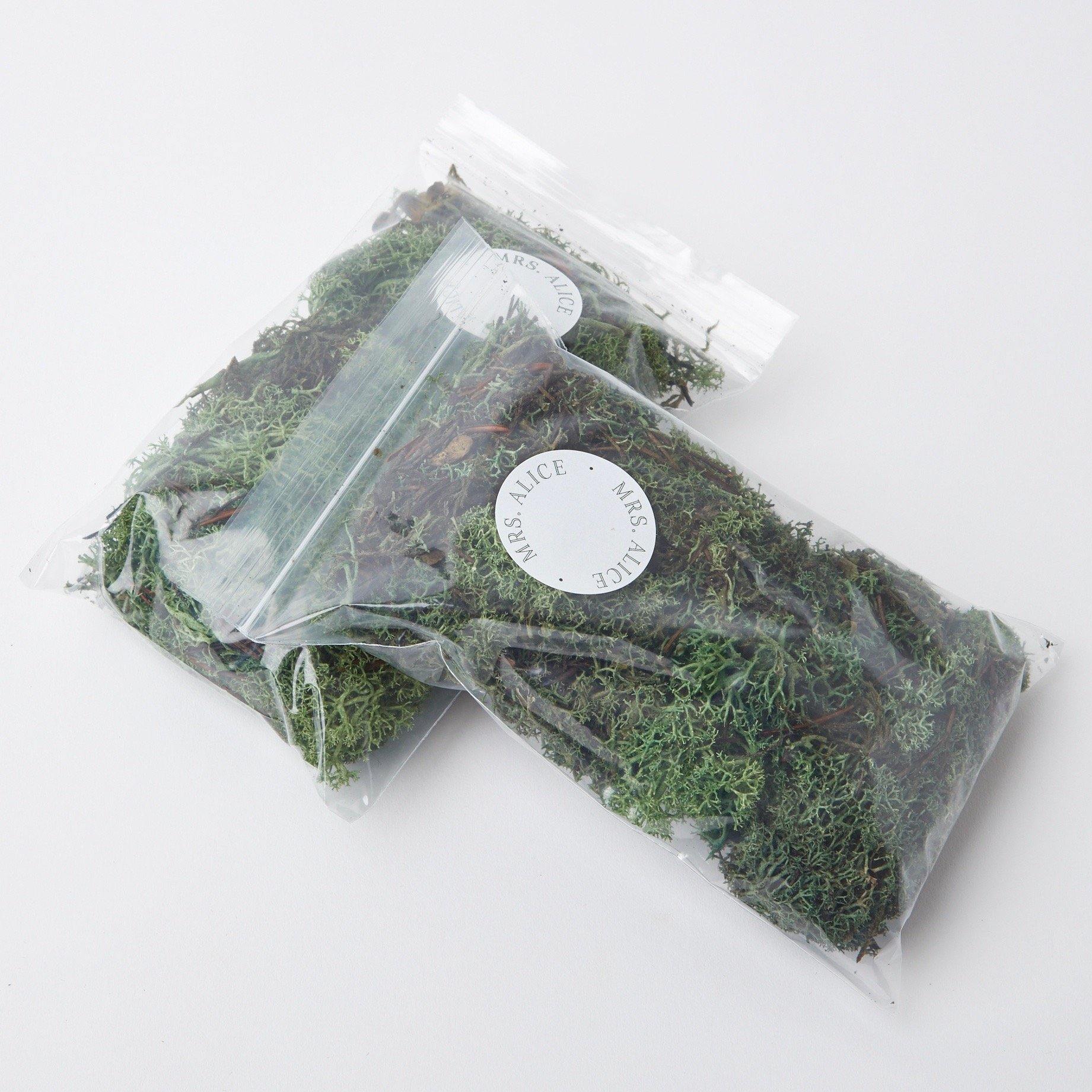 Mrs. Alice Decorative Moss