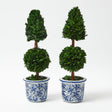 Chinoiserie Potted Boxwood Tree (Pair)