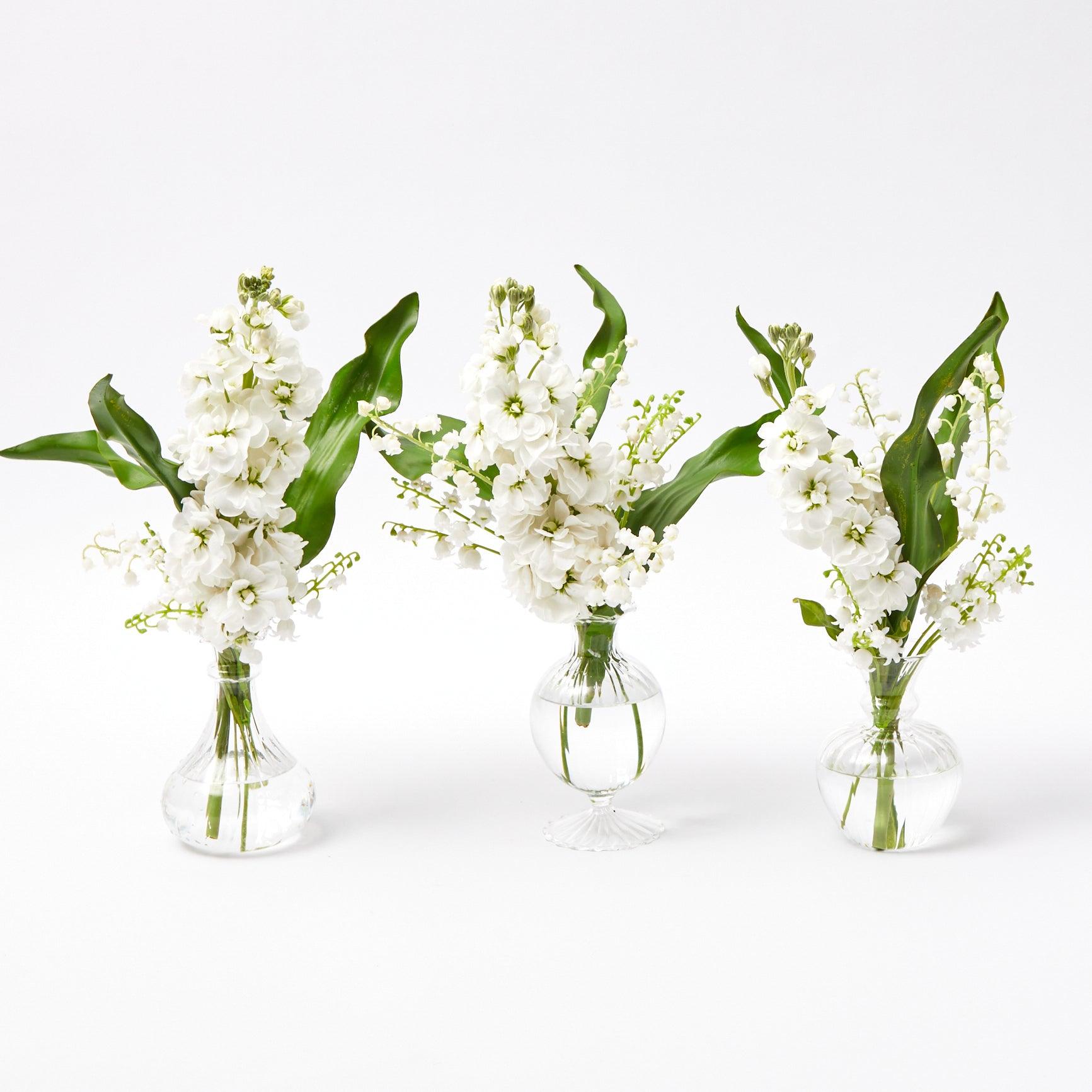 Vases | Shop Large and Small Vases | by Mrs. Alice Naylor-Leyland