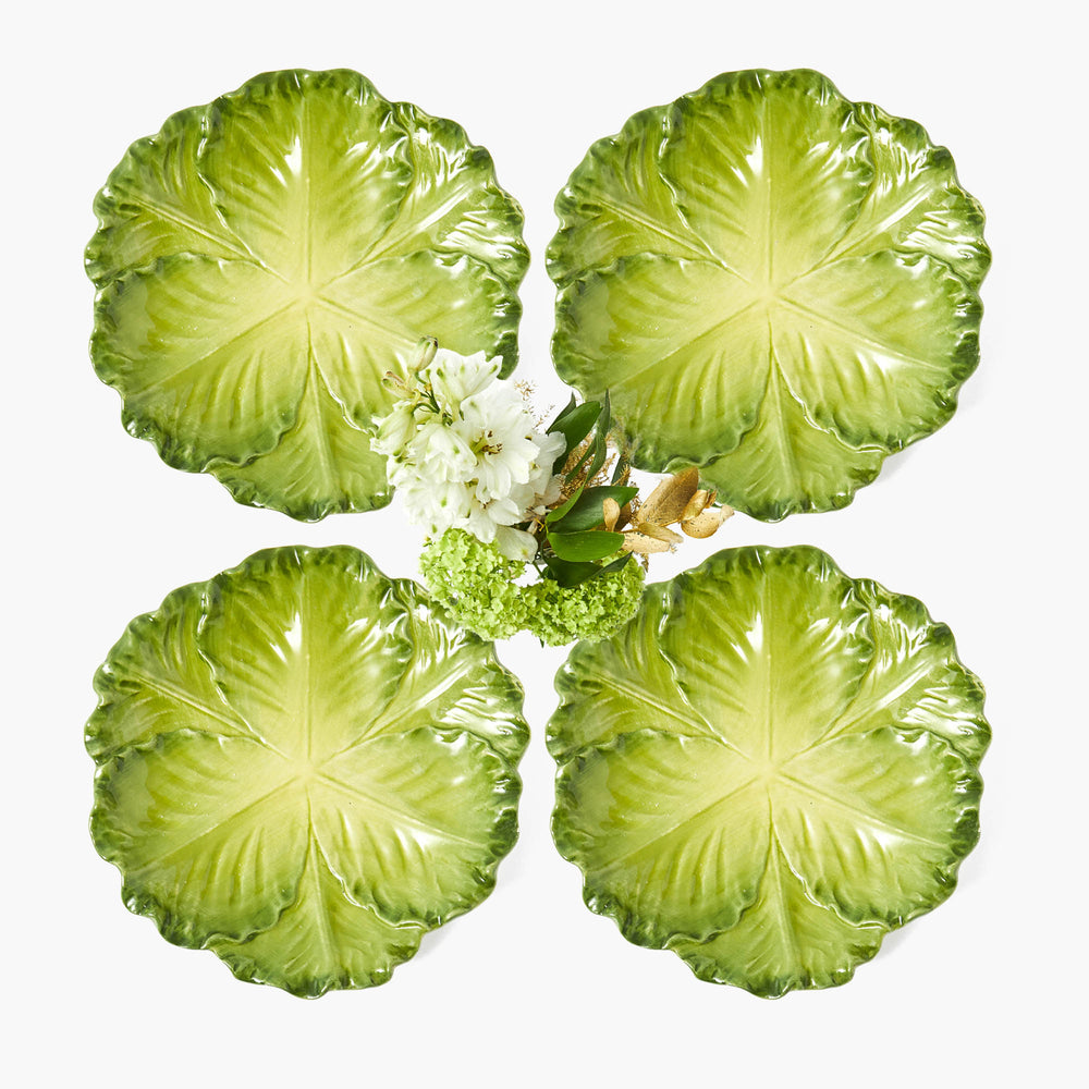 Cabbage Starter Plates by Mrs. Alice